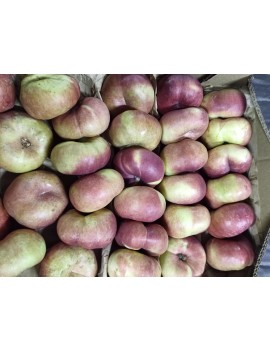 Nectarine plate (3 kg) - cat. 2 (Espagne)