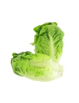 Coeur de Sucrine (1 pc) - cat. 2 (Espagne)