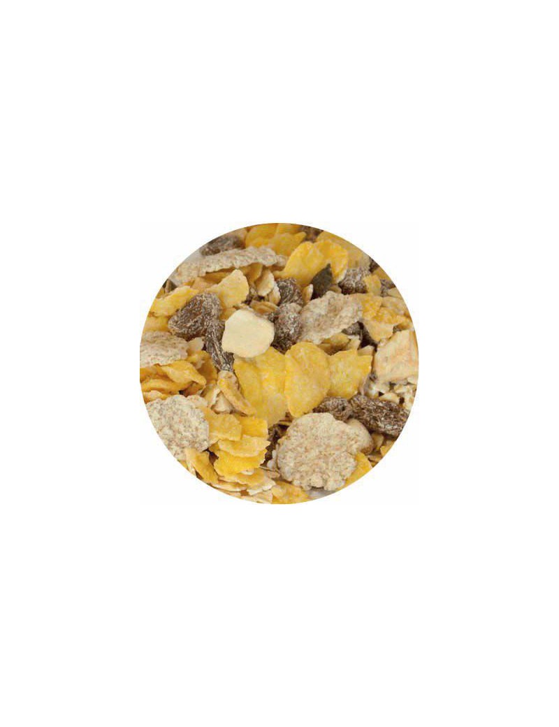 MUESLI FRUITS - GRILLON D'OR