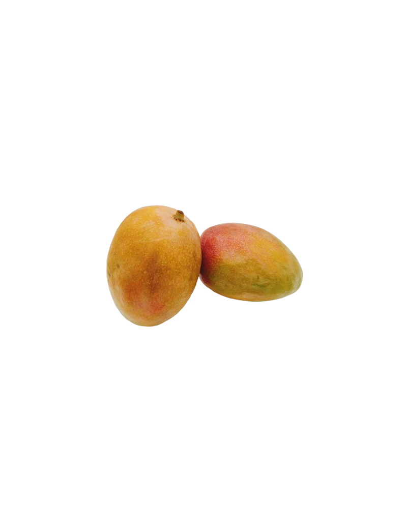 Mangue Kent cal. 9 (4 kg) - cat. 2 (Côté d'Ivoire)